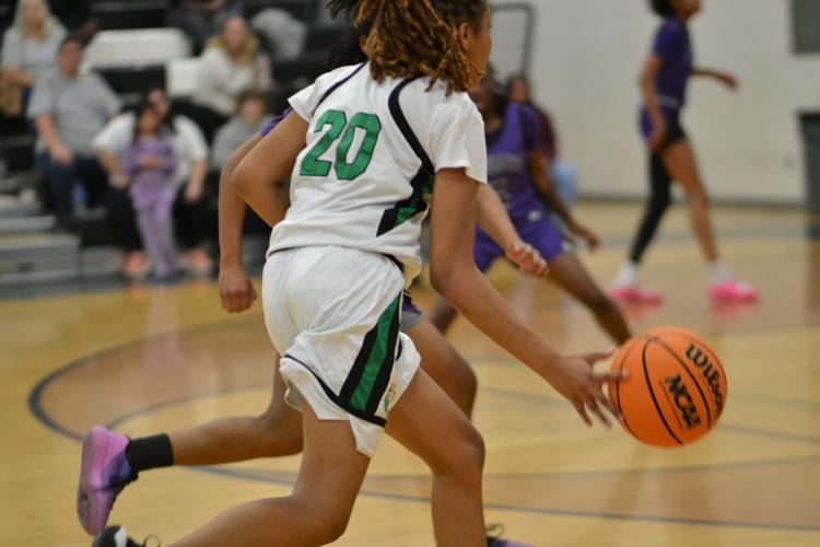 Lady Vipers sweep the Jags, 'headed to the chip' | Archives ...