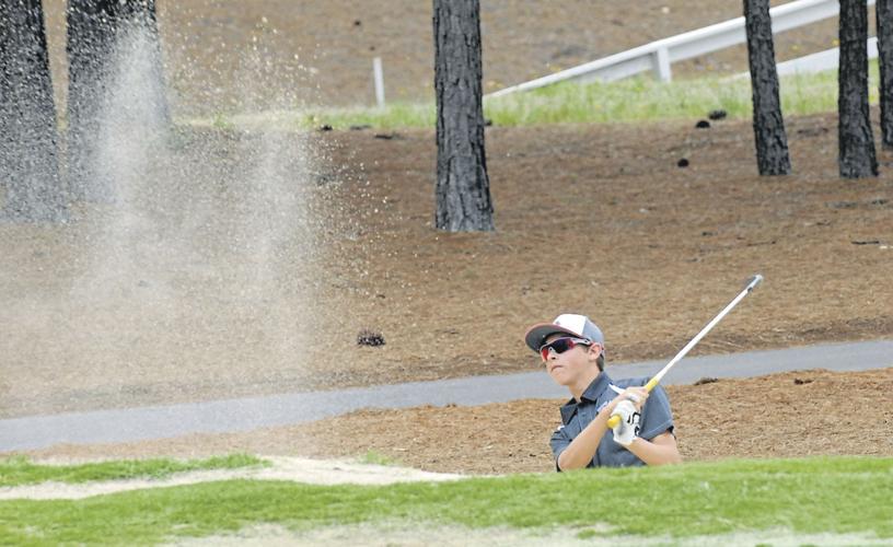 Griffins exceeded expectations | Sports | hendersondispatch.com