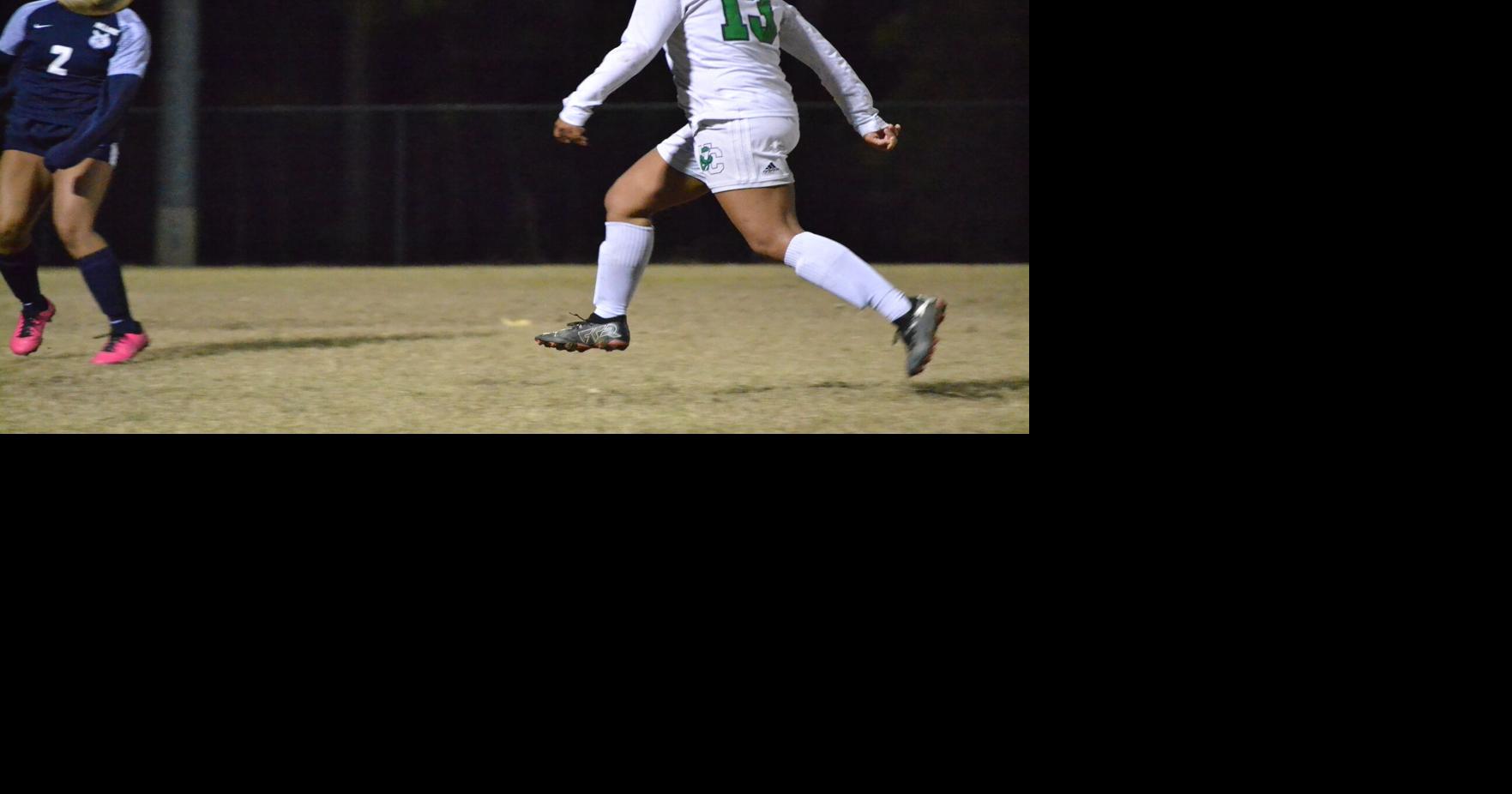 Lady Vipers slug out 1-0 victory in the cold | Archives ...