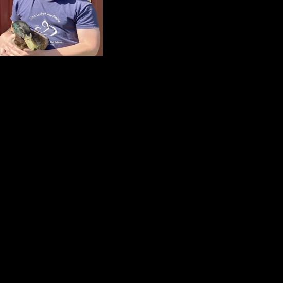 Essay Contest Winners Announced: "What Makes My Family Special" | News ...