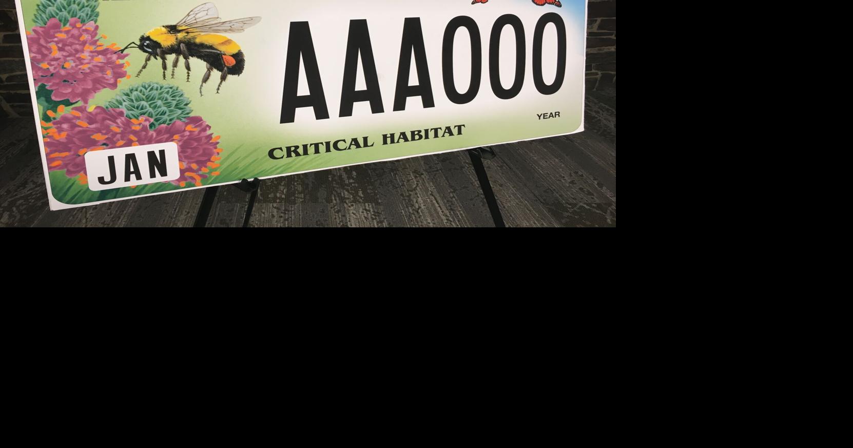 DNR Unveils New Pollinator License Plate to Help Preserve Critical ...