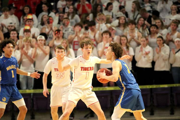 Tigers finish as Section 2AA Runner-up | BELLE PLAINE ...