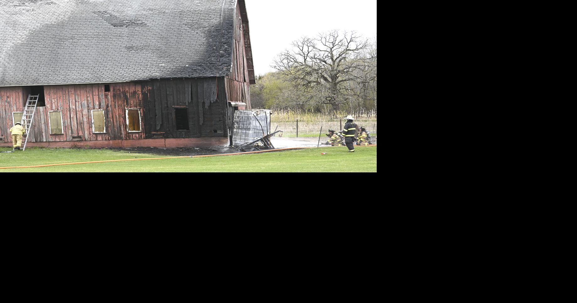 Most Farm Animals Saved after Blakeley township Barn Fire | News ...