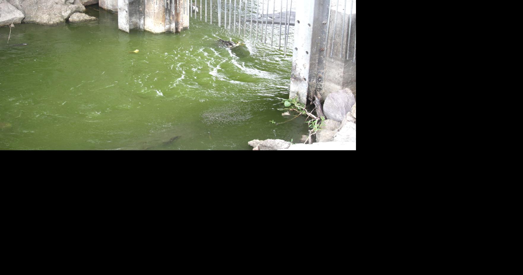 Shallow Lake bus tour highlights ongoing efforts to care for county ...