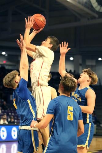 Tigers finish as Section 2AA Runner-up | BELLE PLAINE ...