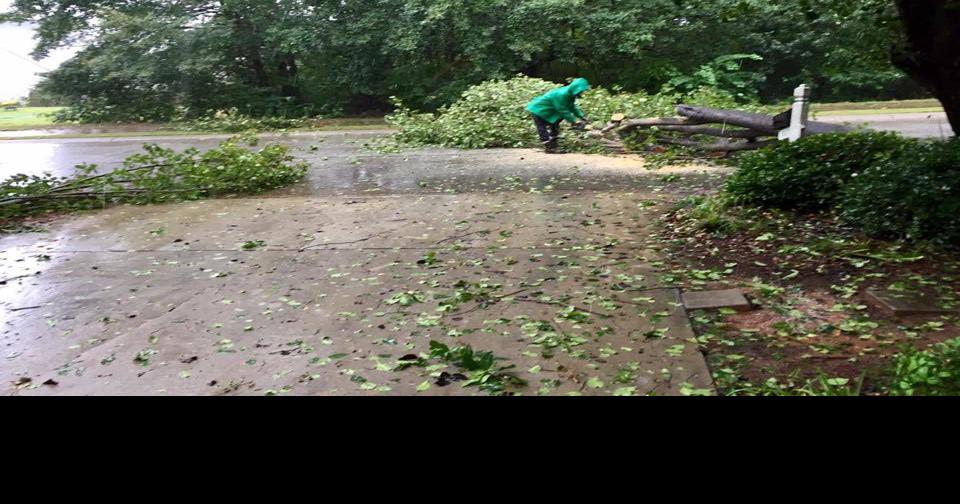 Henry weathers Tropical Storm Irma | News | henryherald.com