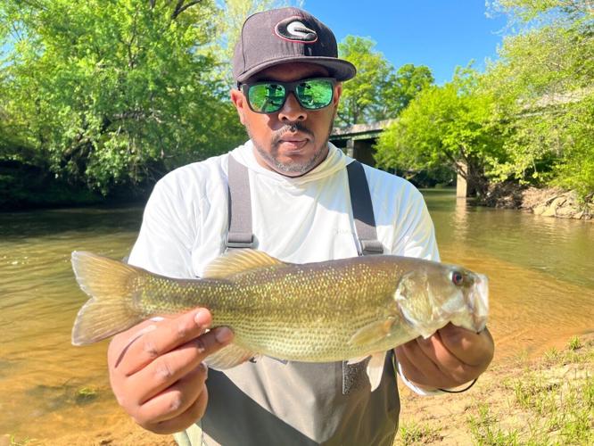 Get your 2026 Georgia Bass Slam this summer from DNR | News ...