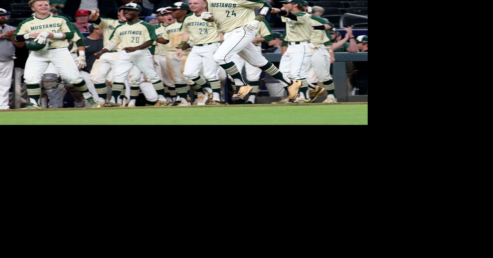 2018 All-Henry County Baseball Team | Sports | henryherald.com