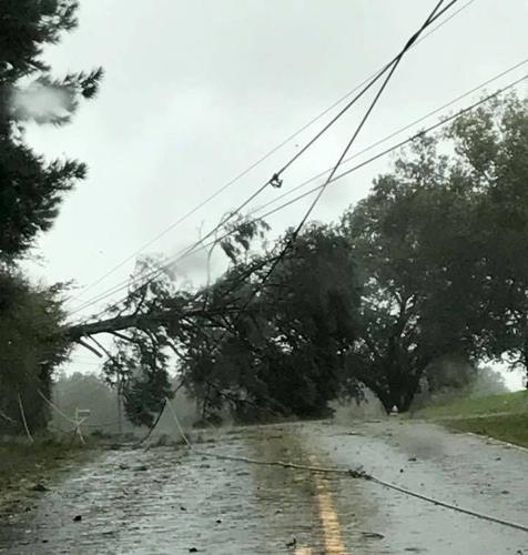 Henry weathers Tropical Storm Irma | News | henryherald.com