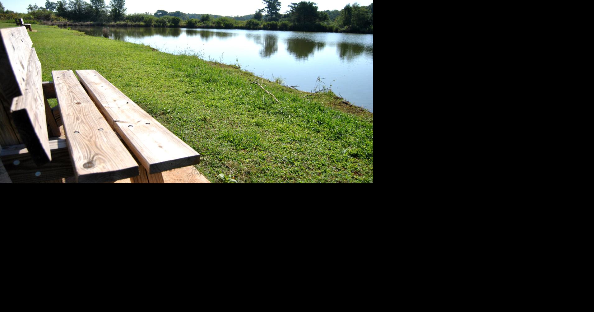 Henry County's Nash Farm Park offers residents 204 acres of greenspace ...