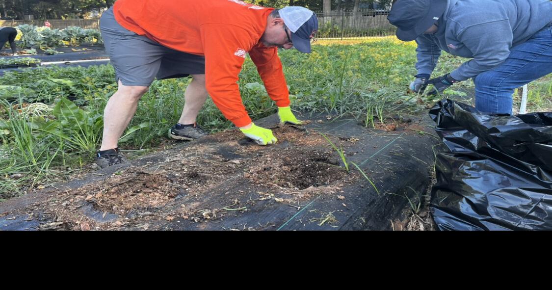 Henry County NAACP drives partnerships at McDonough community garden ...