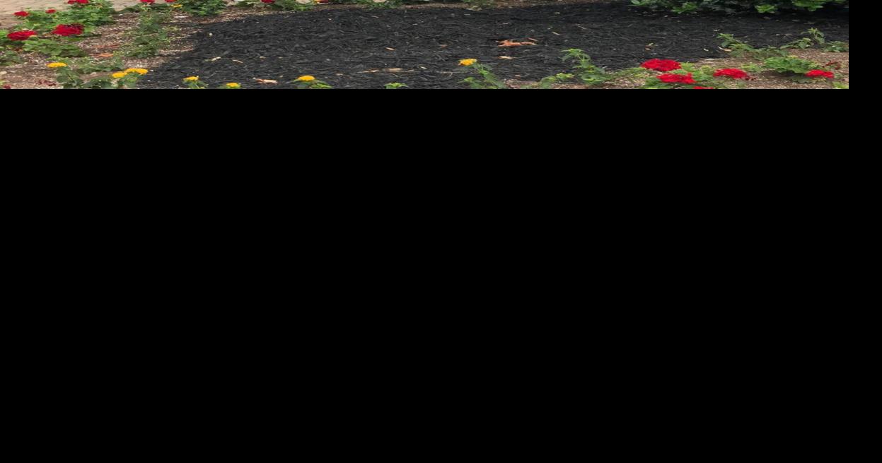 PHOTOS: McDonough hosts 44th annual Geranium Festival | Henry Herald ...