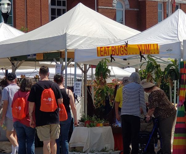Geranium Festival packs the McDonough Square | News | henryherald.com
