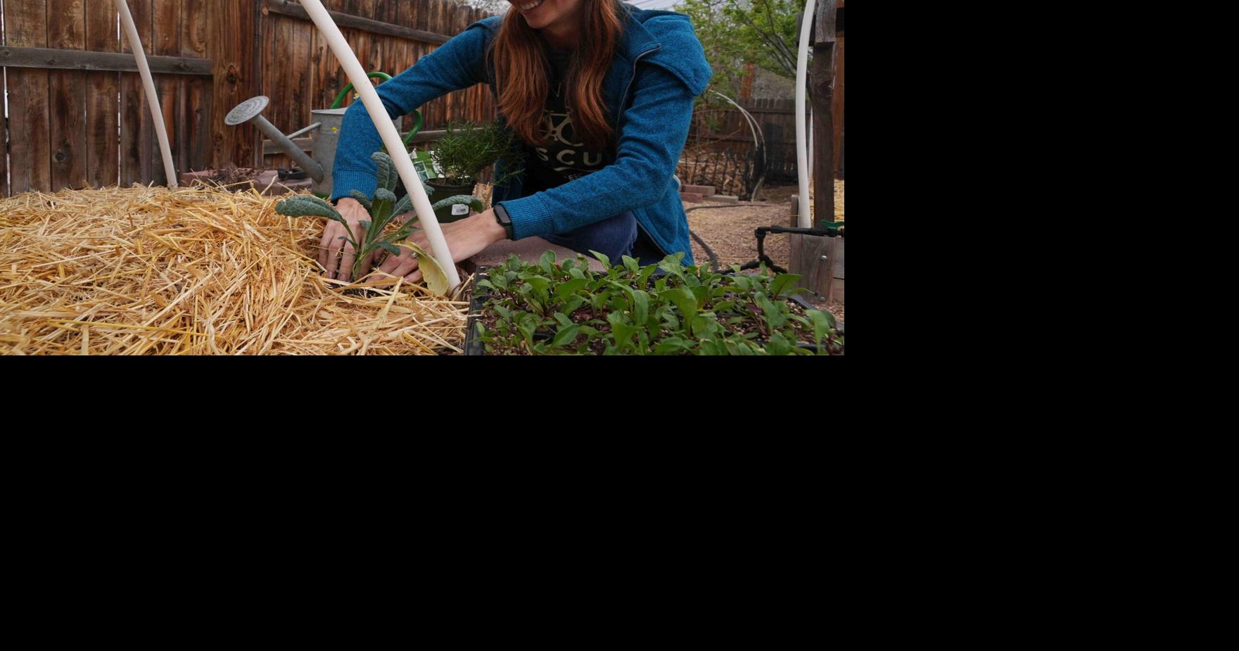 Here's how to grow your own food with less water, even in a drought ...