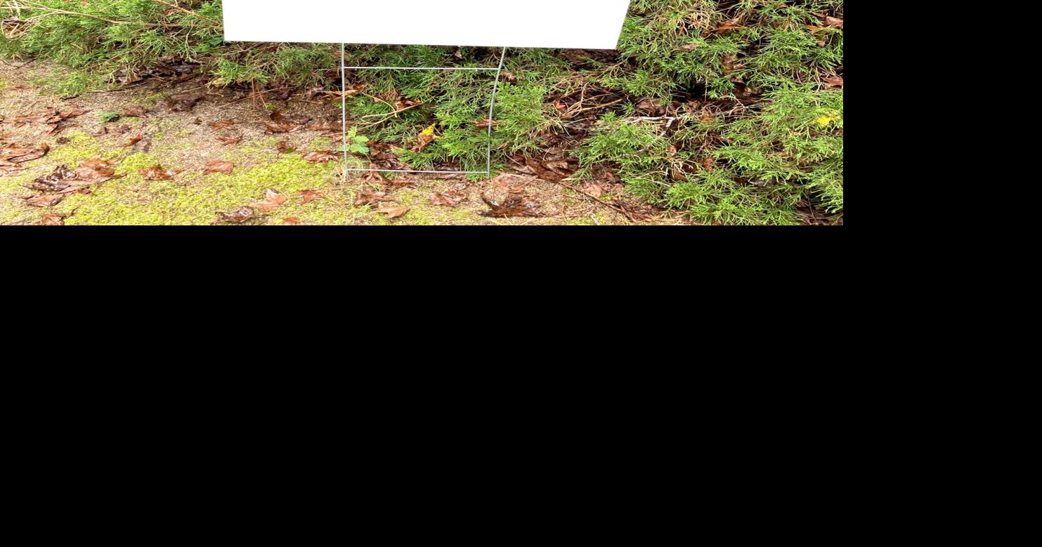 FIND FIDO: Henry County Humane Society hosting county-wide scavenger ...