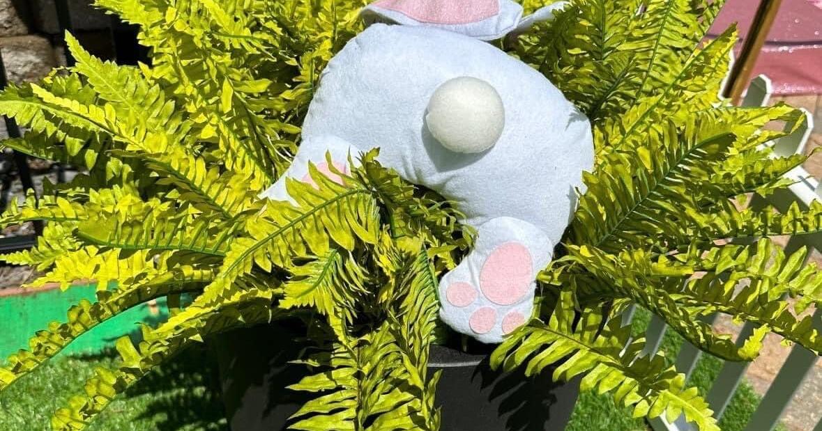 PHOTOS: McDonough hosts annual Easter event | Henry Herald Photo ...