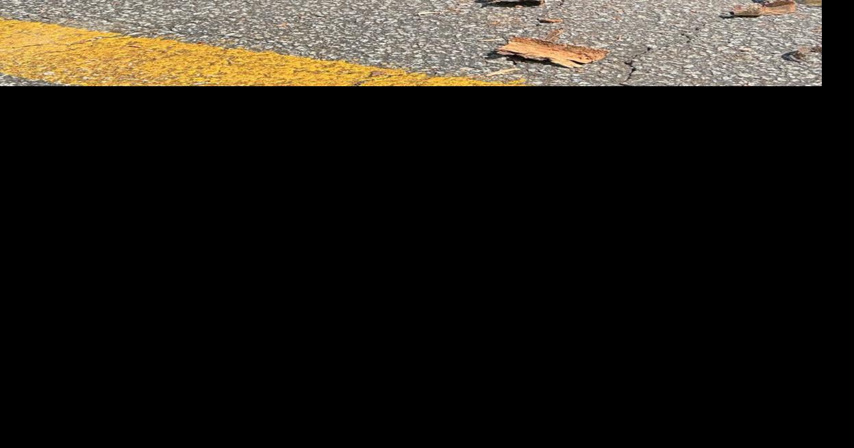 Woman Finds 'Prehistoric' Snapping Turtle In Road | | henryherald.com