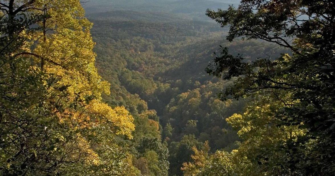 Get the Perfect View of Georgia’s Fall Foliage: Top 5 Overlooks at ...
