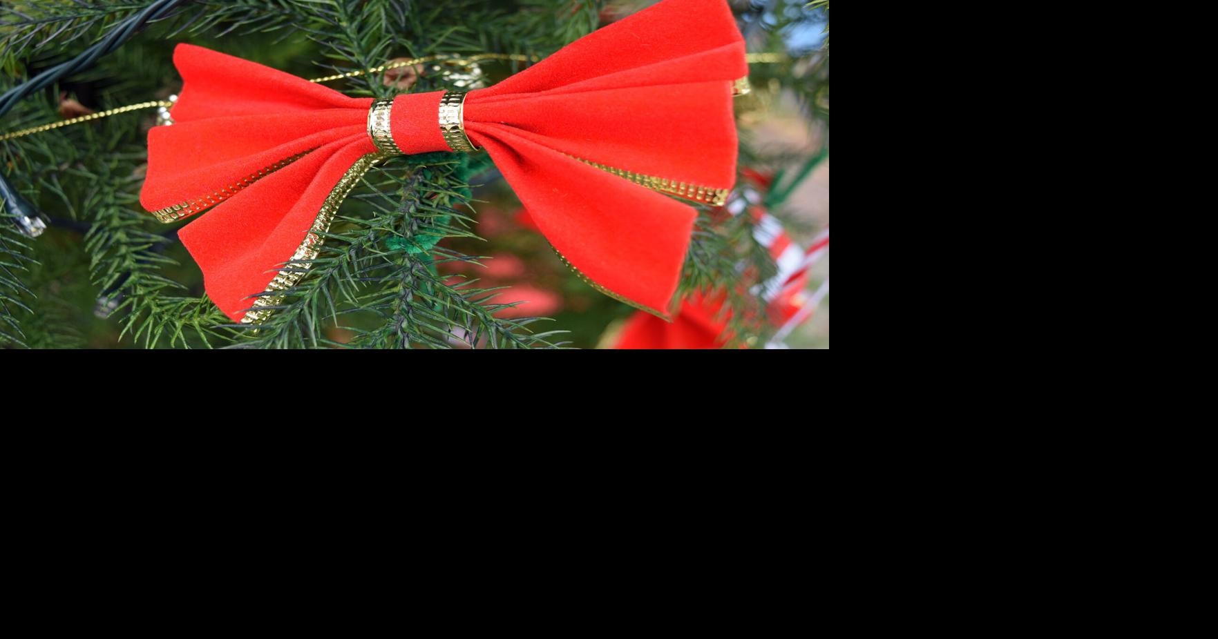 PHOTOS: Holiday Cheer around the McDonough Square | Multimedia ...