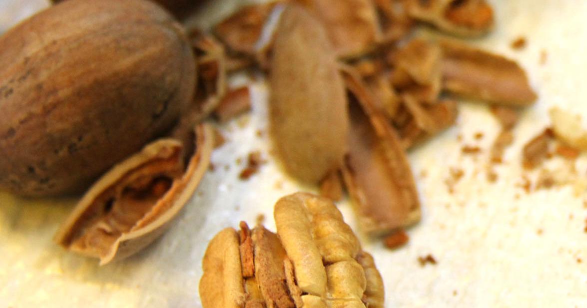 UGA recommend best Georgia nut-producing trees | Features | henryherald.com