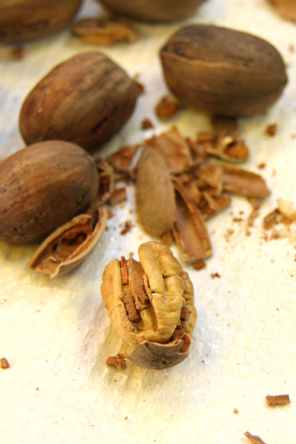 UGA recommend best Georgia nut-producing trees | Features | henryherald.com