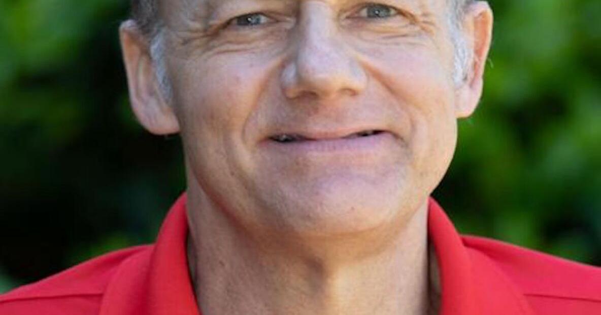 TIMOTHY DALY: The crucial role pollinating insects play | Features ...