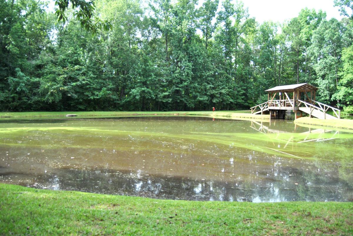 Fortson Center offering students another way of learning | Features ...