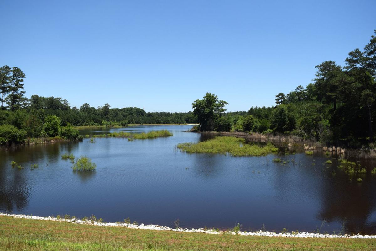 Panola Mountain State Park offers a chance to get outside and play ...