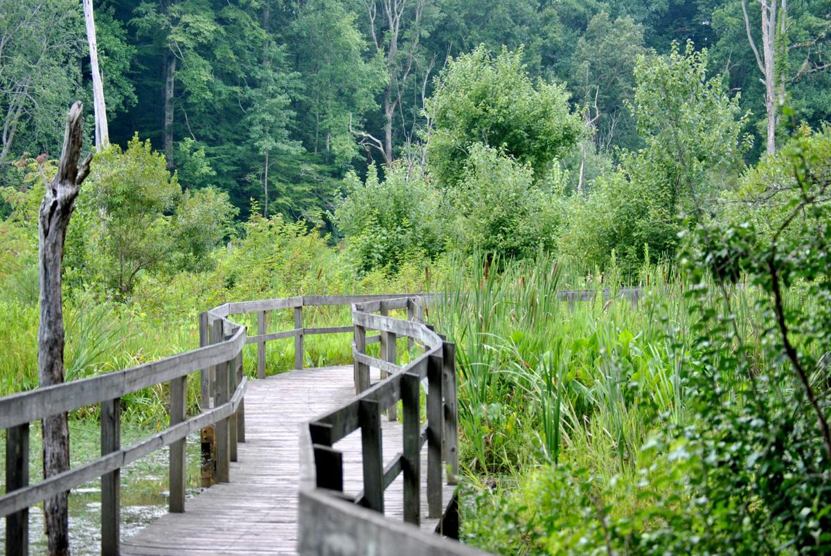 Wetlands center offers glimpse of Mother Nature | Features ...