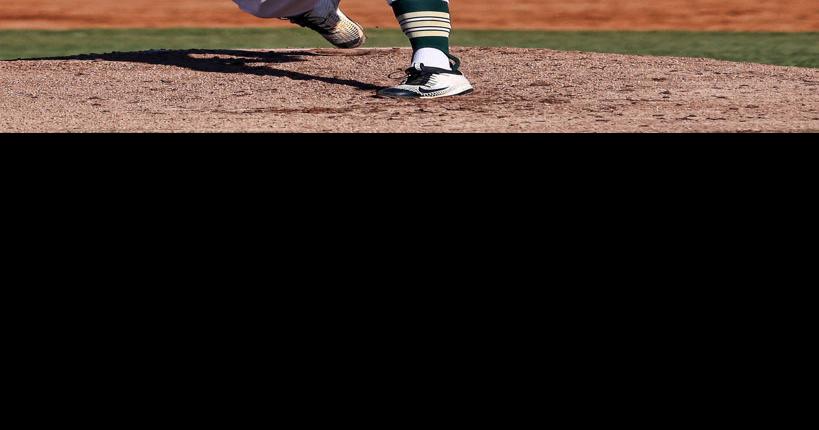 2017 All-Henry County Baseball Team | Sports | henryherald.com