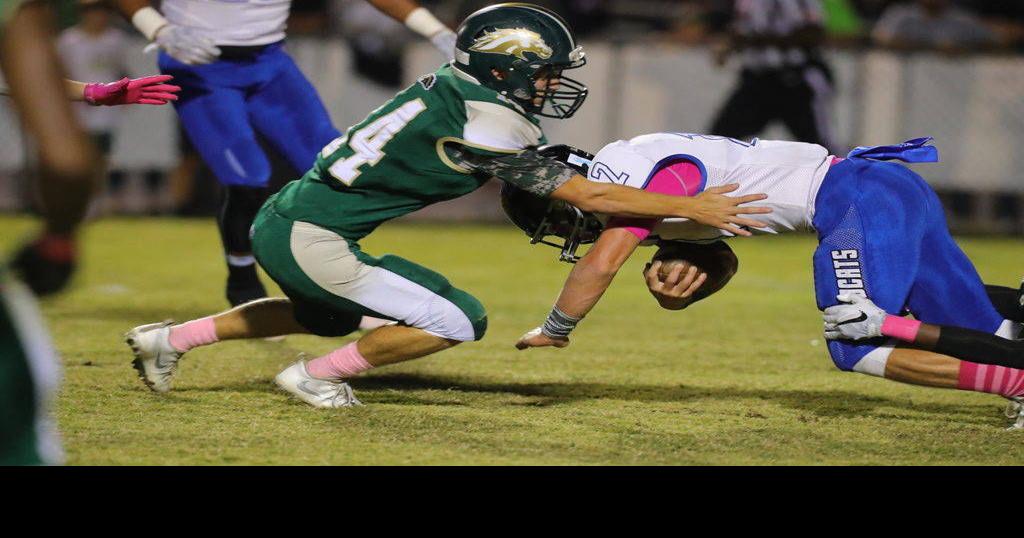 2018 Football Schedule Preview: Ola High Mustangs | Sports ...