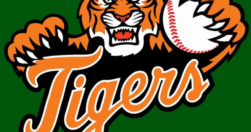 Stockbridge's Dereck Foster Leads All-Region 5-AAAA Baseball Honors ...