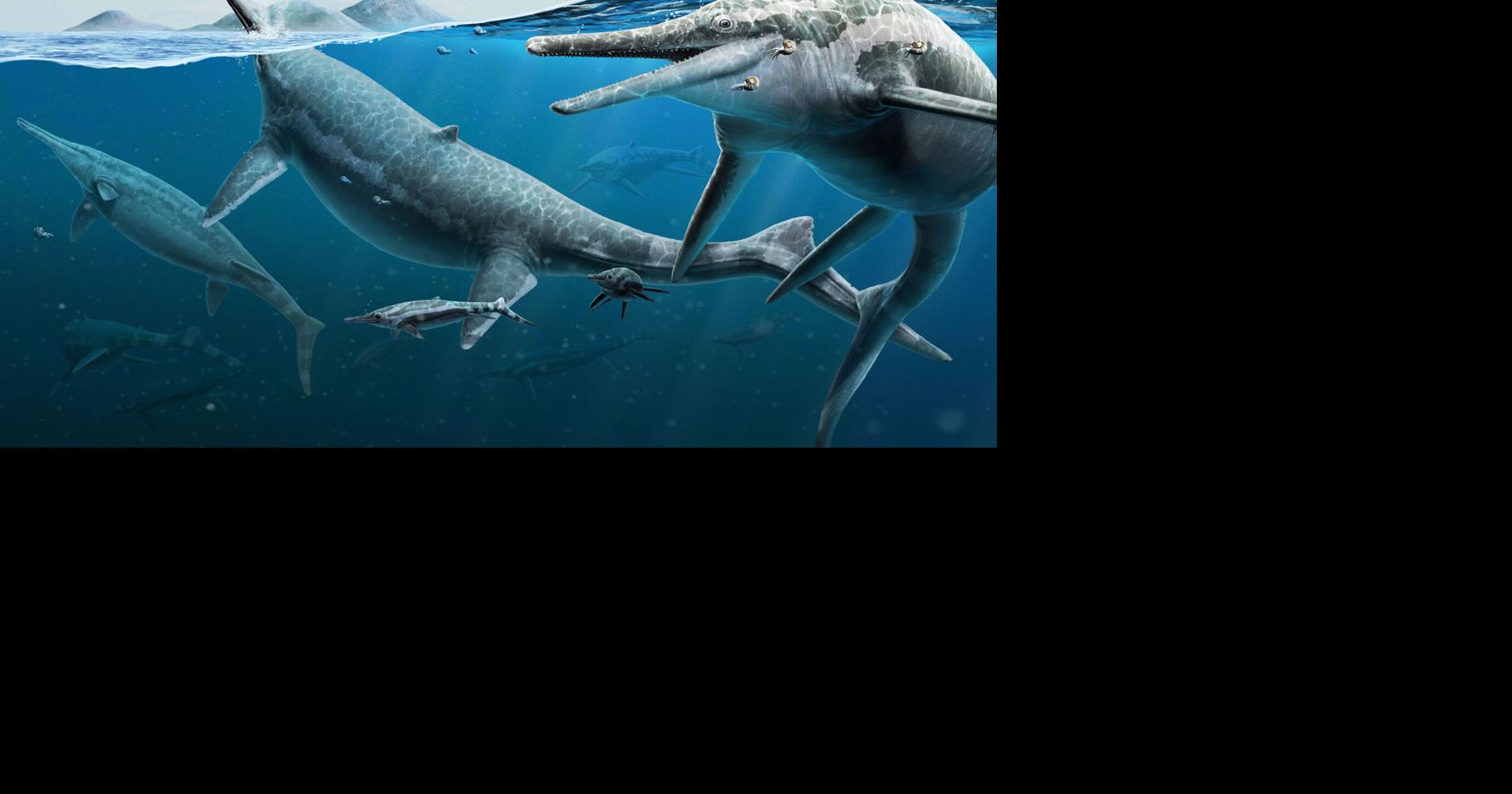 Paleontologists solve mystery of fossil death bed | News | henryherald.com