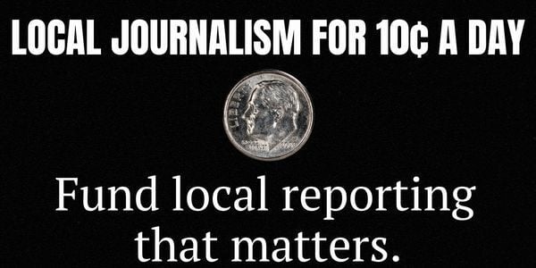 TIMOTHY DALY: Ferns thrive in shady sites | Features | henryherald.com