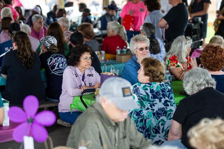 CCCSO welcomes seniors to annual pincic | News | herald-dispatch.com