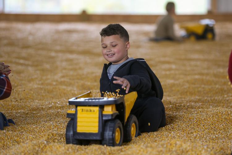 Photos: Families enjoy day off at Gritt's Farm | Multimedia | herald ...