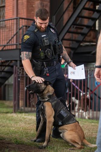 Animals receive blessing at Johnson Memorial UMC | News | herald ...