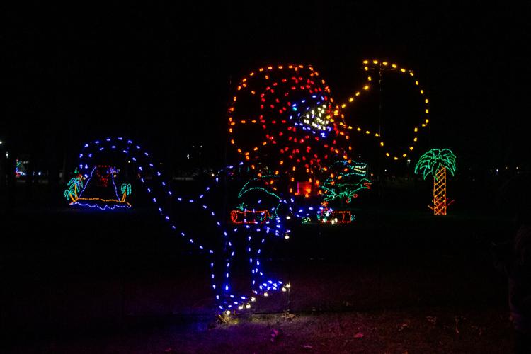 Photos: Winter Wonderland of Lights Ceremony | Multimedia | herald ...