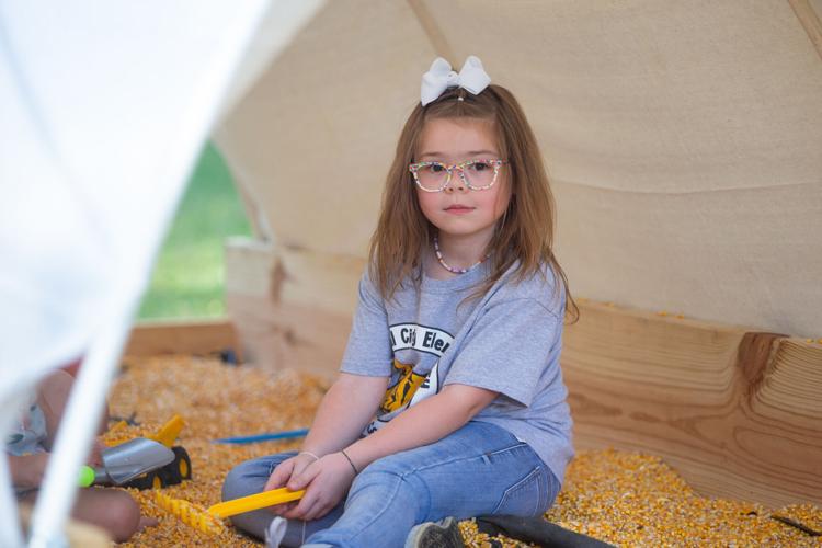 Milton Corn Maze now open on weekends for fall family fun | News ...