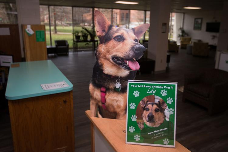 Photos: MU Paws Therapy Dogs conduct "Paw-ffice" Hours for students ...