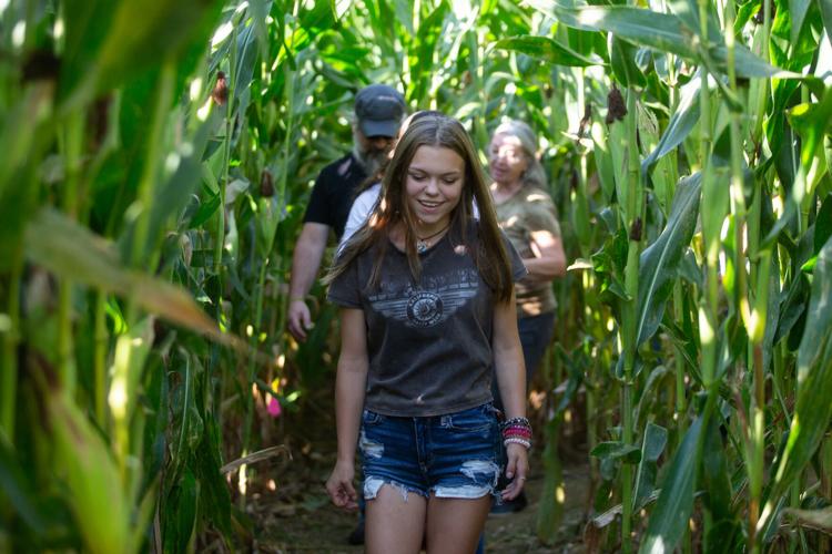 Milton Corn Maze now open on weekends for fall family fun | News ...