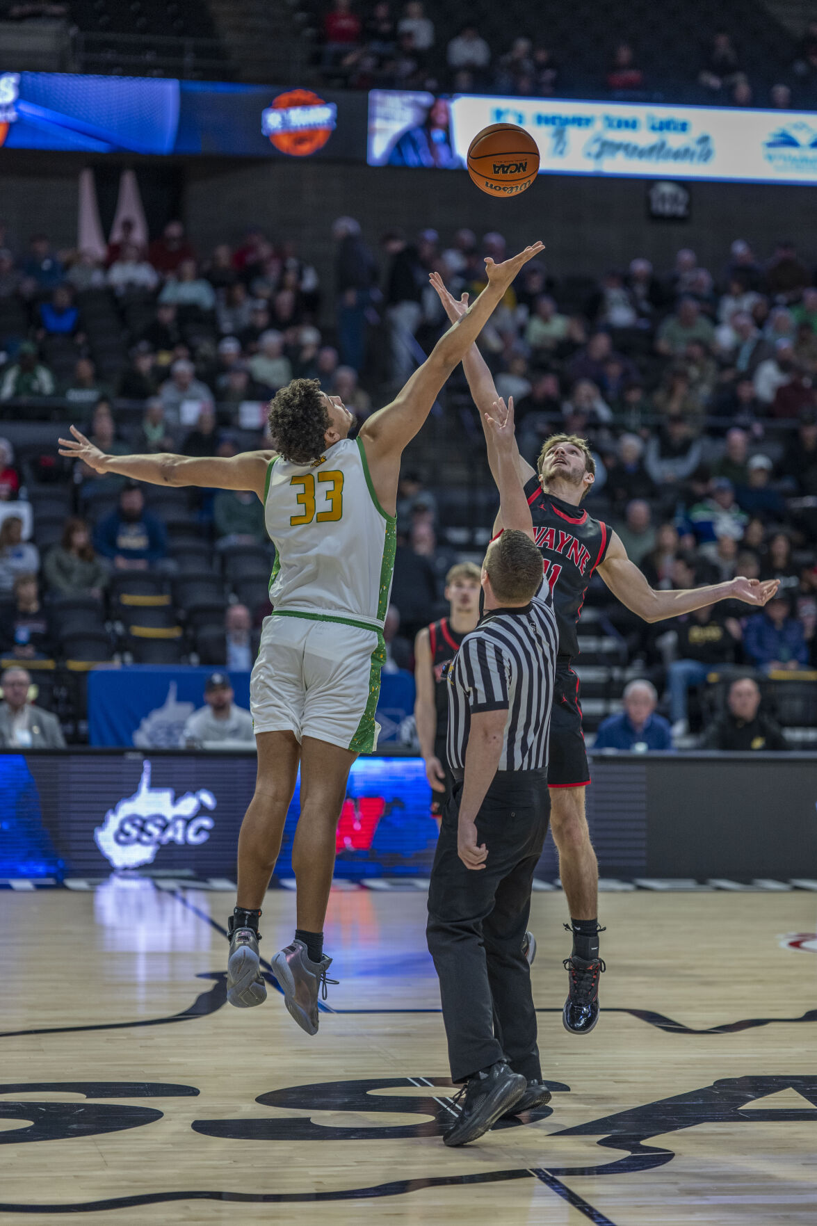 Preece adds name to Wayne County state tourney stars | High School ...