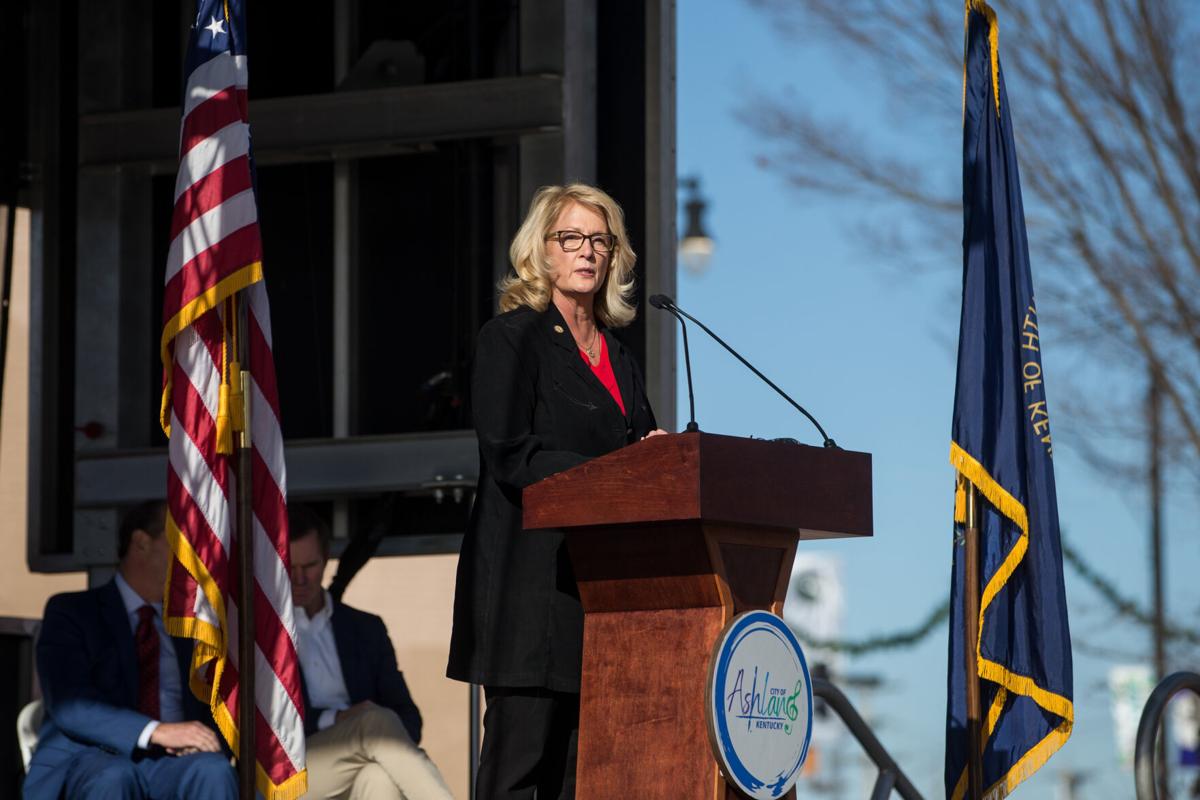 KY Sen. Robin Webb, longtime Democrat, joins Republicans | News ...