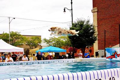 High Flying Sport of DockDogs Back For a Third Year At Poage Landing ...