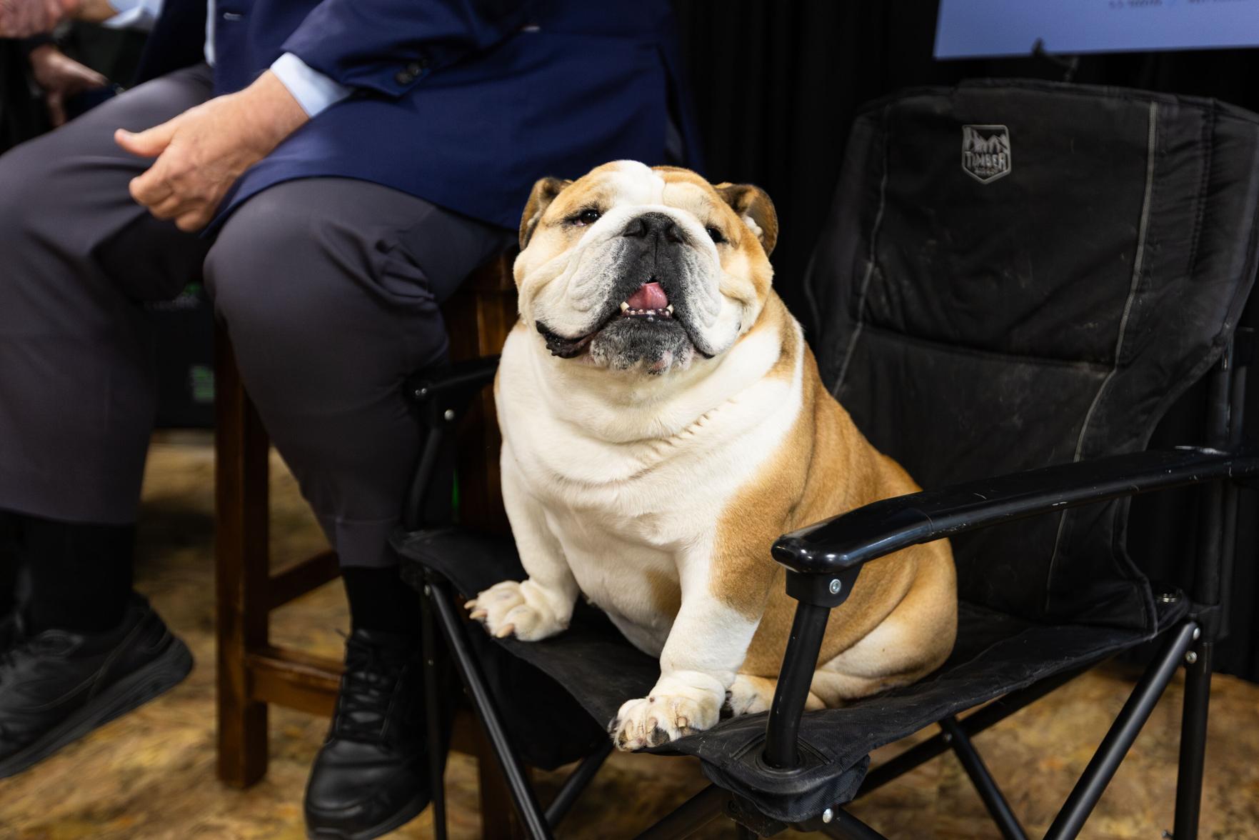 Rural medicine, funding cuts discussed during Justice visit | News ...