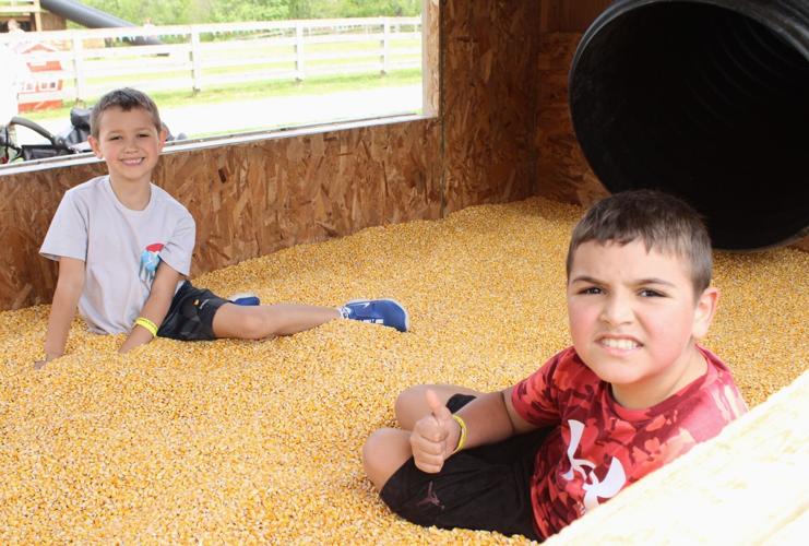 Gritt's Farm celebrates spring | Putnam News | herald-dispatch.com