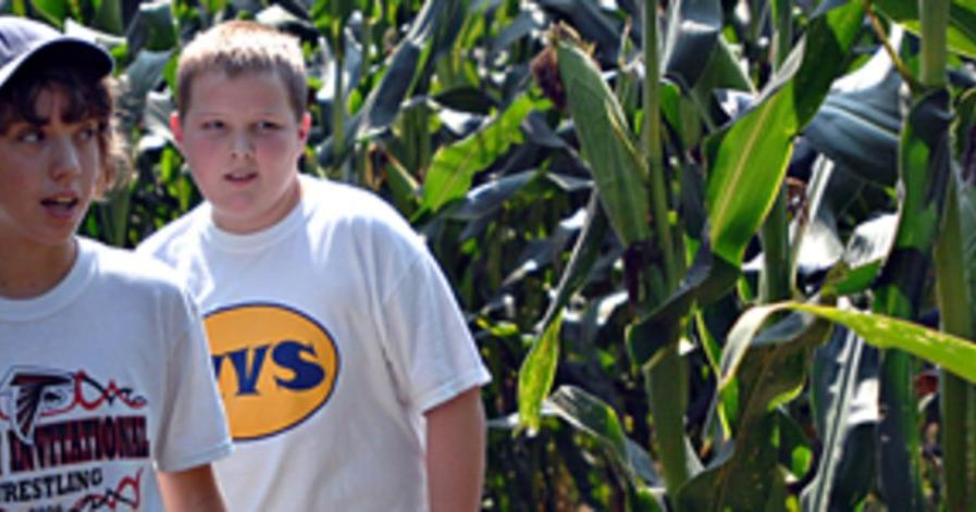 Milton's corn maze a fall must-see | Features/Entertainment | herald ...
