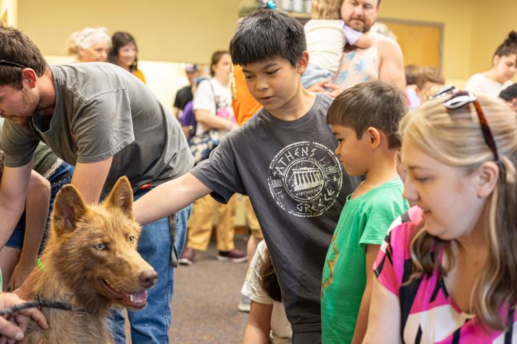 Photos: Cabell County Public Library offers 'Wolves in the Library ...