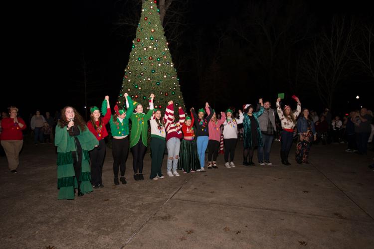 Photos: 2024 Ritter Park Christmas Display Lighting | Multimedia ...