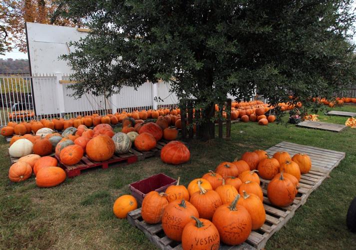Gallery: Pumpkin House Preparations in Kenova | Photos News | herald-dispatch.com